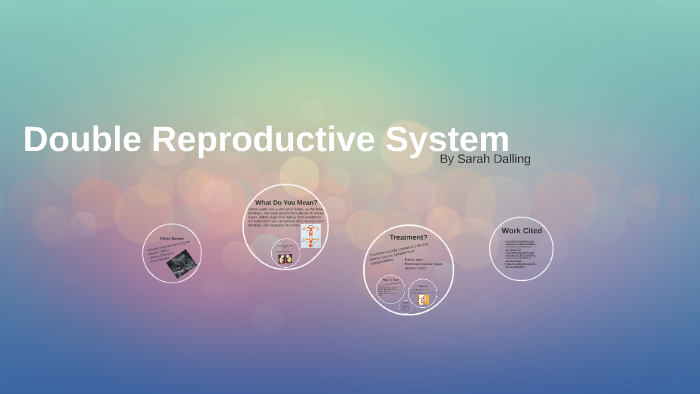 Double Reproductive System by Sarah Dalling on Prezi