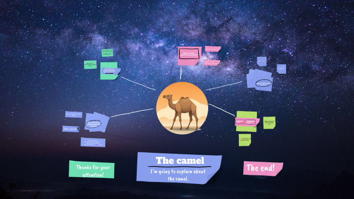 the camel by Mohammad Mahdi Izadi on Prezi