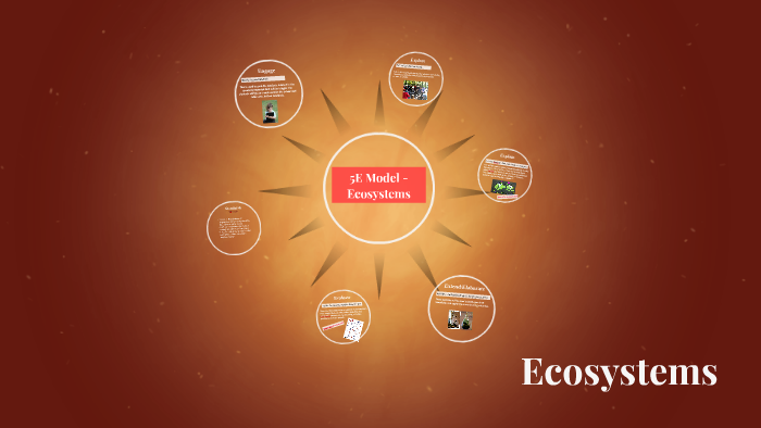 5E Model -Ecosystems by Erin Olson on Prezi