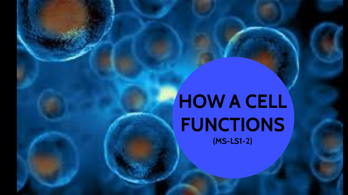 How does a cell work? by Steve West on Prezi