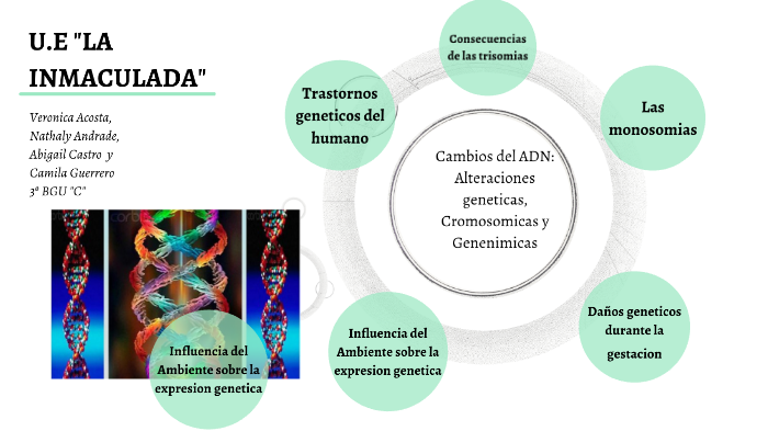 Cambios del ADN: alteraciones geneticas, cromosomicas y genomicas by ...