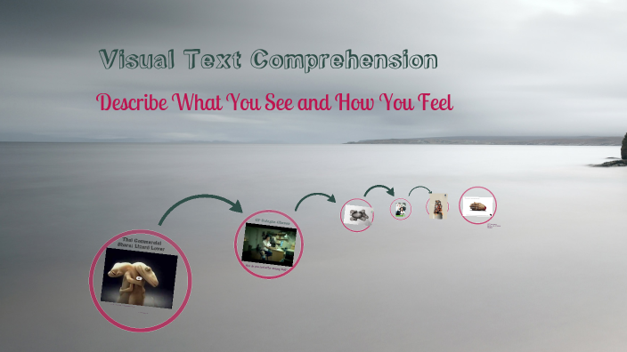 Visual Literacy: Purpose, Audience and Message by Ms Hun on Prezi