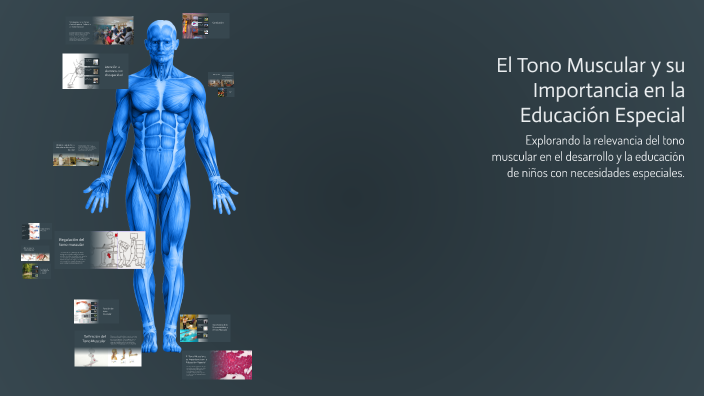 El Tono Muscular y su Importancia en la Educación Especial by Ángel ...