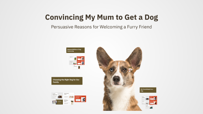 Convincing My Mum to Get a Dog by Tom Digby on Prezi
