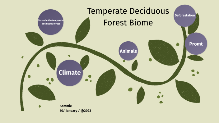 temperate deciduous forest biome by Sammie Rich on Prezi