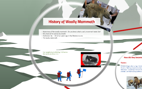 Wooly Mammoth Cloning by Stephanie Kamalanathan on Prezi