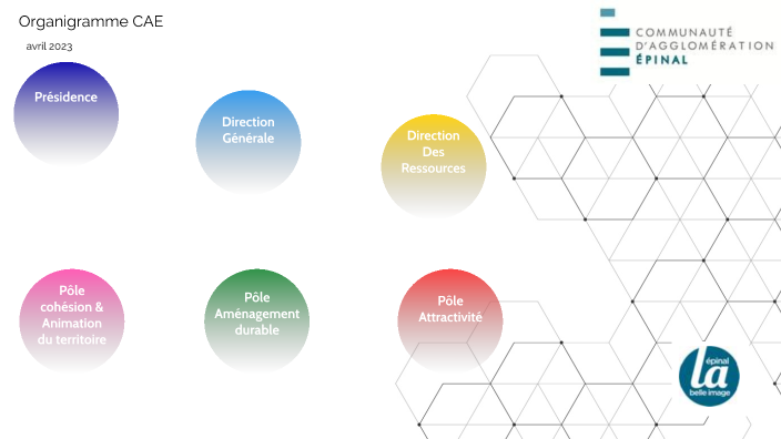Organigramme CAE by Valérie Bronner on Prezi