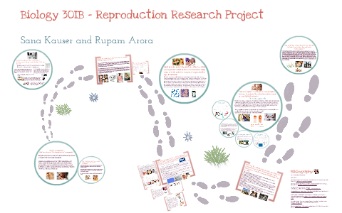 Biology 30IB - Reproduction Research Project by Sana Kauser on Prezi