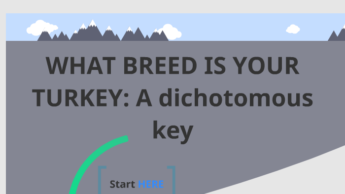 Dichotomous Key: Identifying your turkey by Jessica Knowles on Prezi