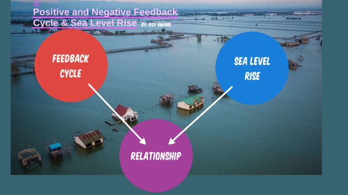 Roy Hwang Extra Credit by Roy Hwang on Prezi