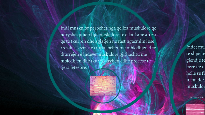 Indi muskulor perbehet nga qeliza muskulore qe ndryshe quhen by ...