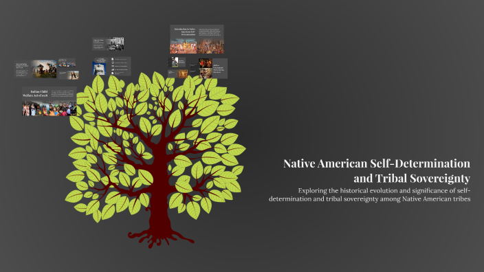Native American Self-Determination and Tribal Sovereignty by Emilia F ...