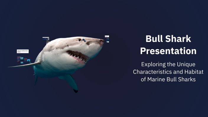 Bull Shark Presentation by Tristen Clark on Prezi