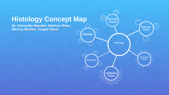 Histology Concept Map by Samantha Bearden on Prezi