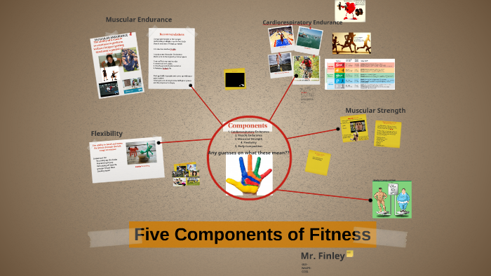 Five Components of Fitness by Jason Finley on Prezi