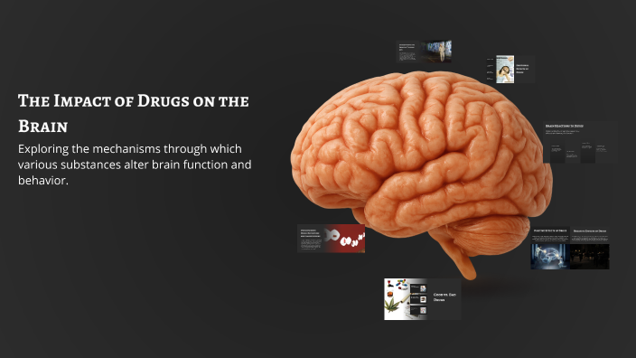 The Impact of Drugs on the Brain by yad bawa on Prezi