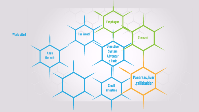 digestive system theme park by Devon Curtis on Prezi