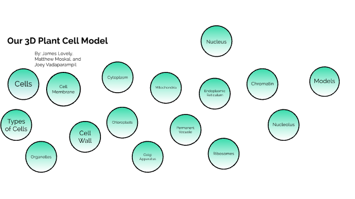 Our 3D Cell Model by Matthew Moskal on Prezi