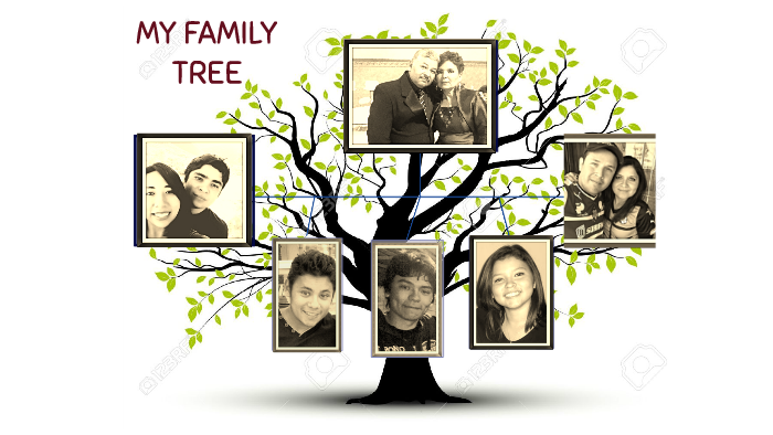 MY FAMILY TREE by Maria Mora on Prezi