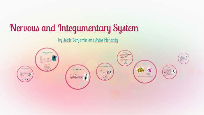 Nervous and Integumentary System by Avha Mohanty on Prezi