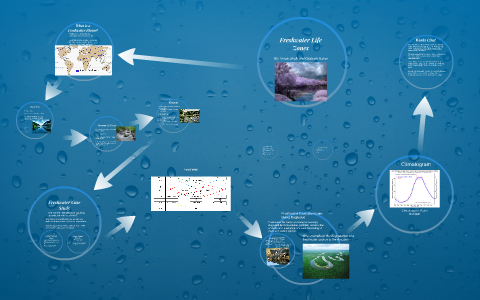 Freshwater LIfe Zones by Imran Shah on Prezi