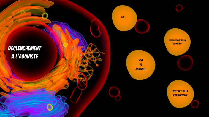 Déclenchement à l'Agoniste des schémas antagonistes by Valentine ...