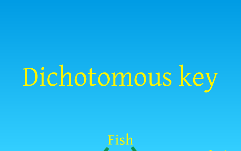 Fishes Cladogram and Dichtomous key with Diagramof by Aaron McCormick ...