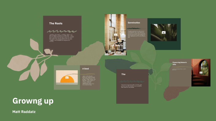 Raddatz Tree by MATTHEW RADDATZ on Prezi