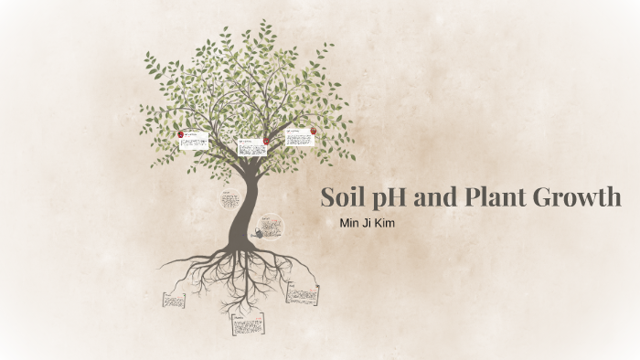 Soil pH and Plant Growth by Min Ji Min Ji on Prezi