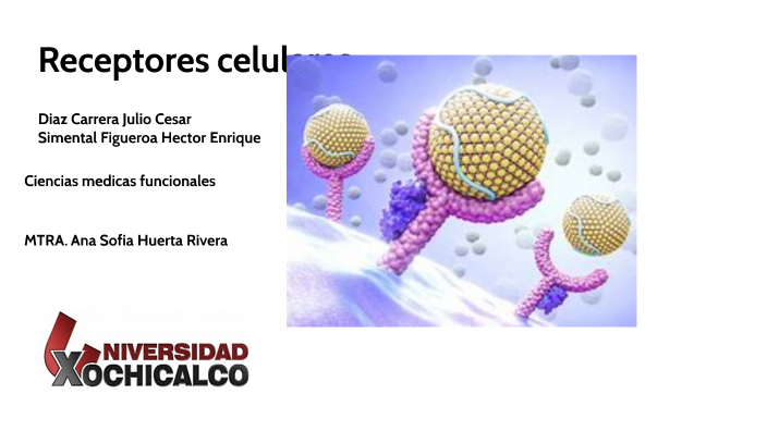 Receptores celulares by Hector Simental on Prezi