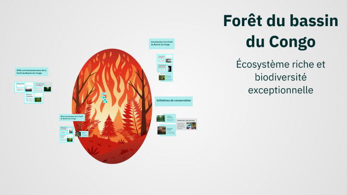 Forêt du bassin du Congo by robina ayam on Prezi