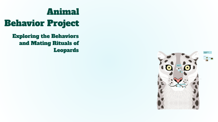 Animal Behavior Project by Savannah Flores on Prezi