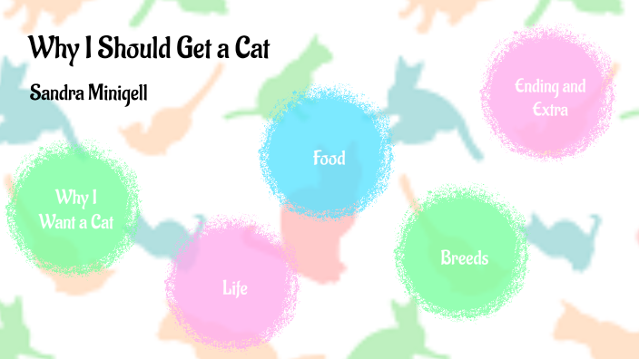 Why I Should Get a Cat by Sandra Minigell on Prezi
