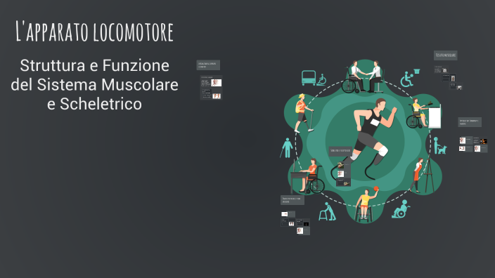 L'apparato locomotore by luca maselli on Prezi