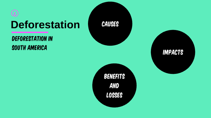 Letter to the deforestation Companies by Dahlia Seher on Prezi