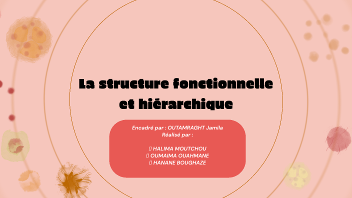 La structure fonctionnelle et hiérarchique by Halima Moutchou on Prezi