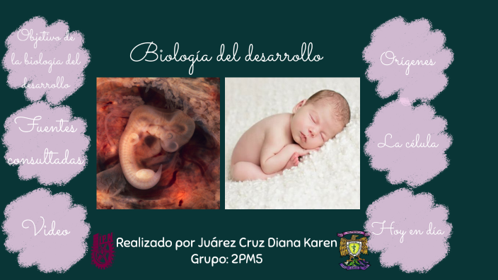 BIOLOGÍA DEL DESARROLLO by Karen Juárez on Prezi