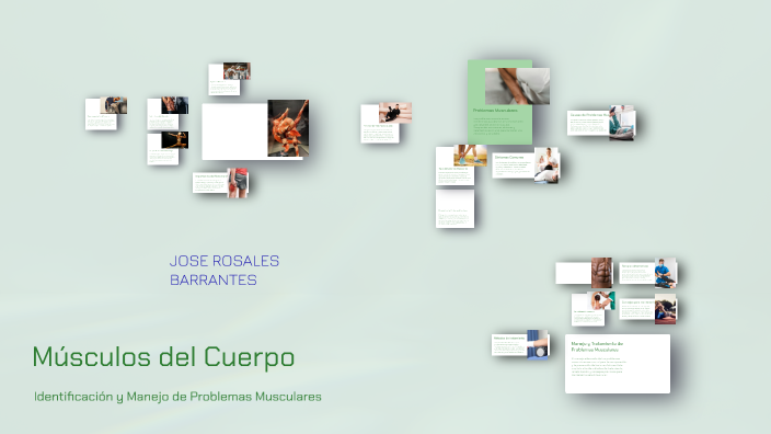 Músculos del Cuerpo by Angie Tatiana chavarria on Prezi