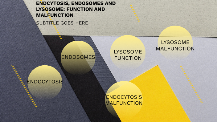 endocytosis, endoscopes and lysosome function and malfunction by ...