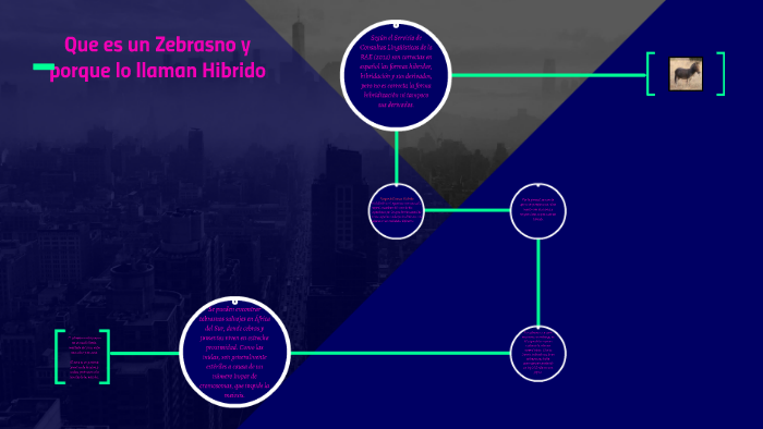 Que es un Zebrasno y porque la llaman hibrido by maria jose naual on Prezi