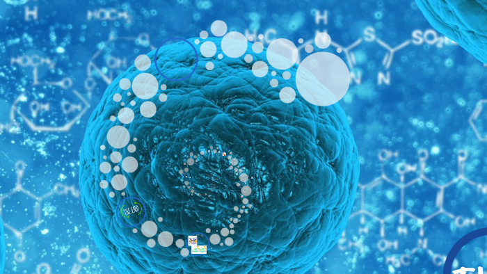 The Q cycle by Nuria Cabrera Gómez