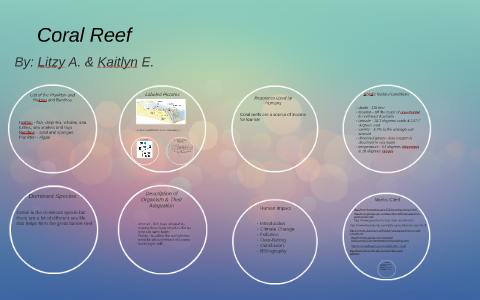 Coral Reef(Great Barrier Reef) by Kaitlyn & Litzy classproject on Prezi