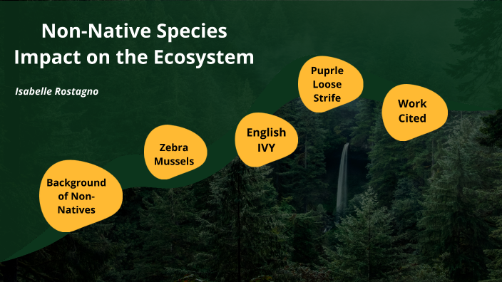 Non-native species impact on ecosystems by Isabelle rostagno on Prezi