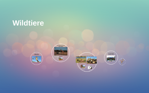 Wildtiere by Macy Rowe on Prezi