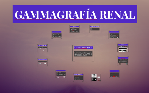 GAMMAGRAFÍA RENAL by Alondra Flores on Prezi