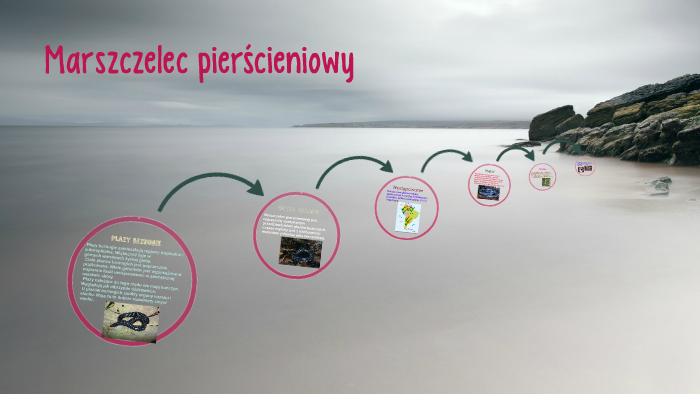 Marszczelec pierścieniowy by Magda Wojnar on Prezi