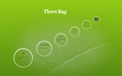 Thorn Bug! by Mrs. Gates on Prezi