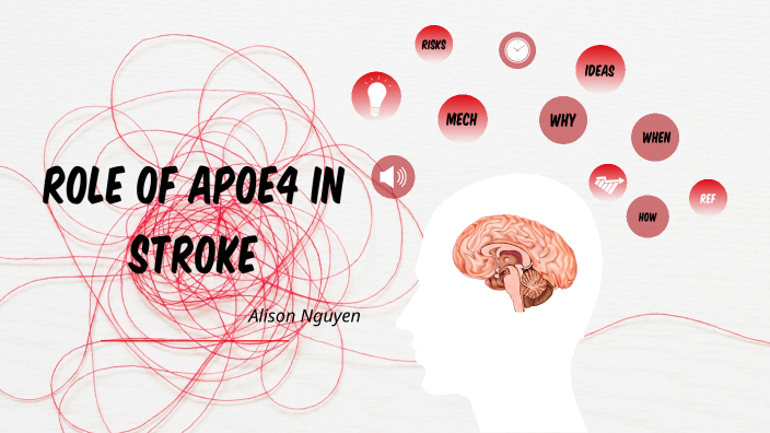 Genetics of Stroke by Alison Nguyen on Prezi