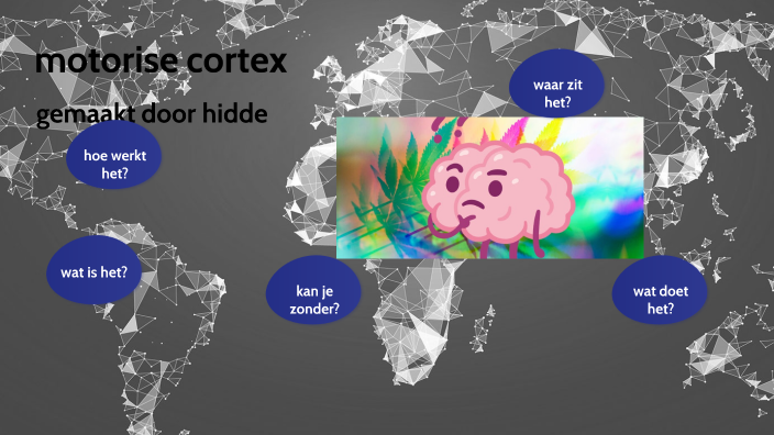 motorische cortex by mijn been meneer!!! jantje on Prezi