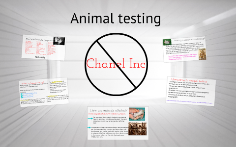 Animal testing: Chanel by azure jarrett on Prezi